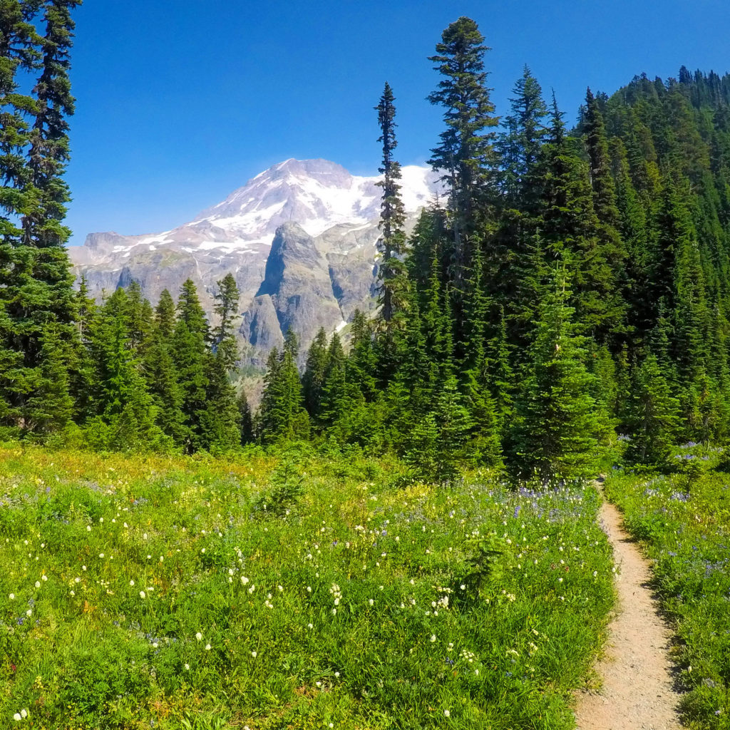 How I Backpacked The Wonderland Trail - The Hungry Hiker