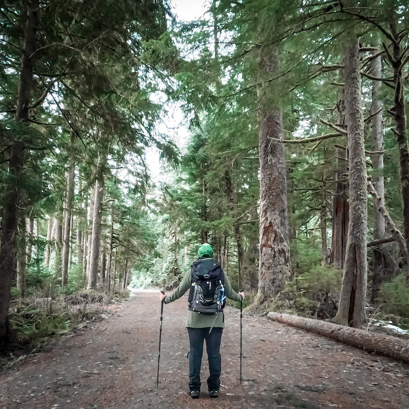 Why I Love Solo Hiking - The Hungry Hiker