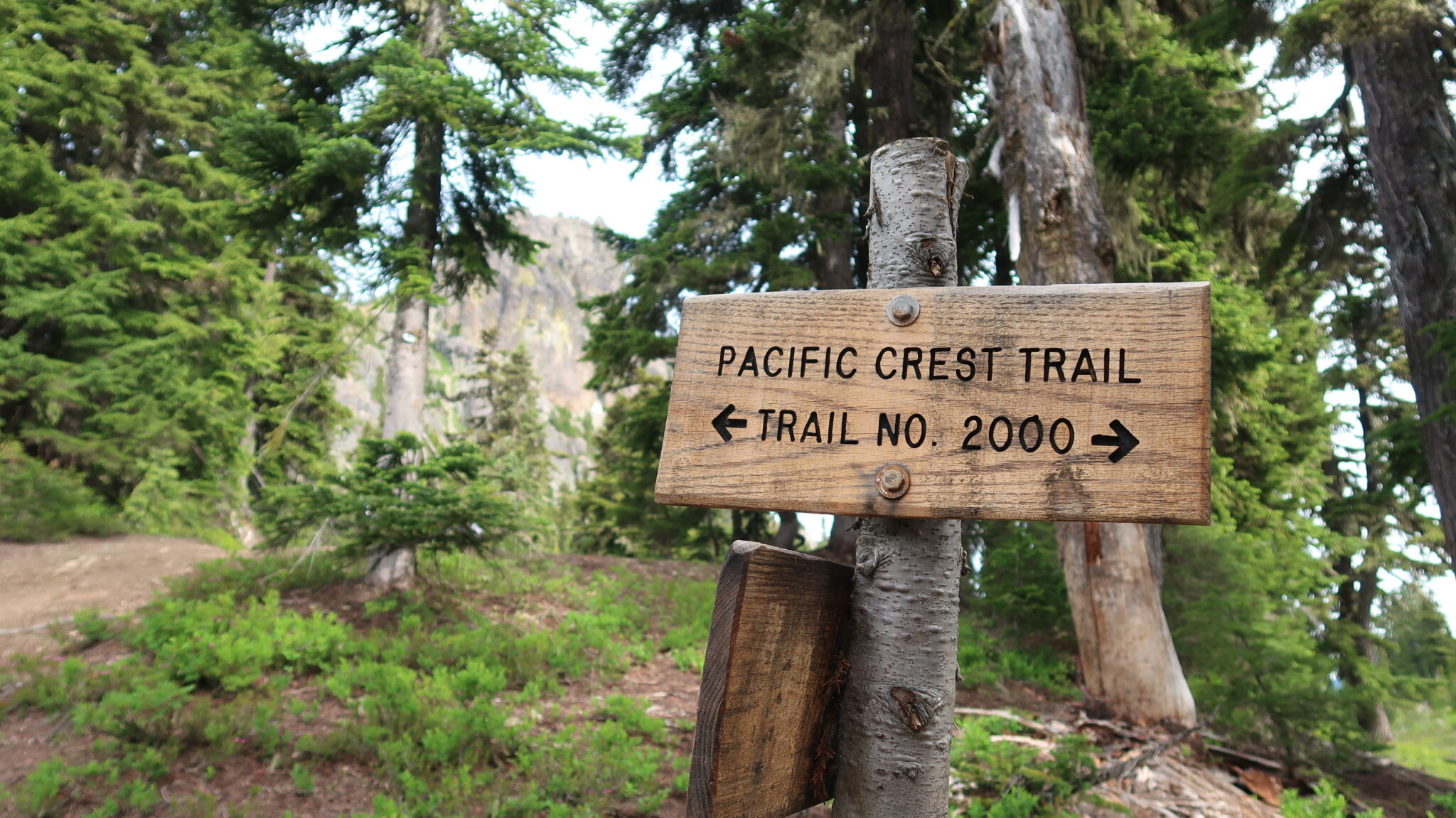 I’m Hiking the Pacific Crest Trail AGAIN! - The Hungry Hiker