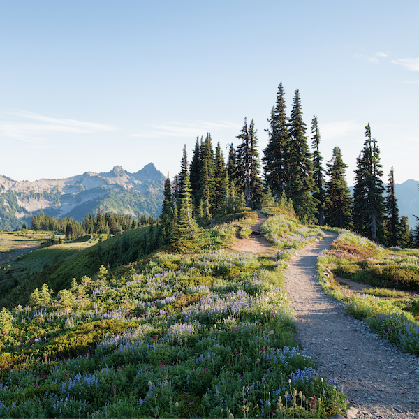 10 Backpacking Tips For Beginner Backpackers - The Hungry Hiker